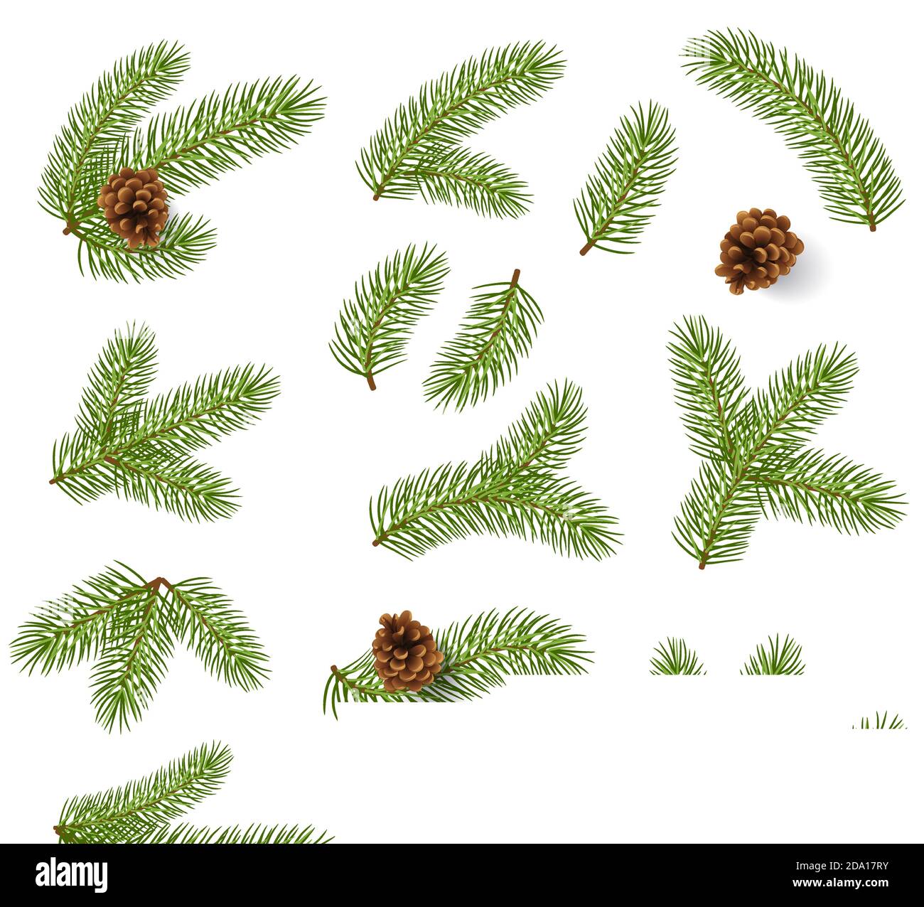 Christmas tree branches Stock Vector Image & Art - Alamy