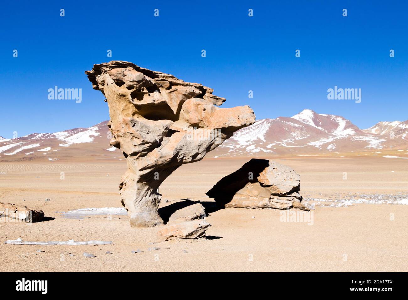 Stone Tree rock, Bolivia. Bolivian landmark. Arbol de Piedra Stock ...