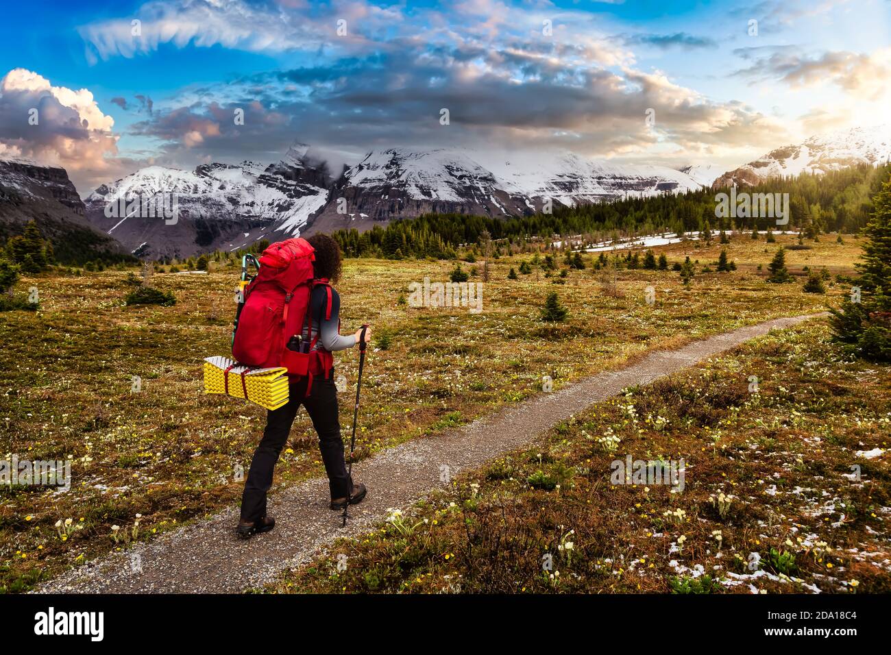Female Backpacker Hiking in Canadian Rockies Stock Photo - Alamy