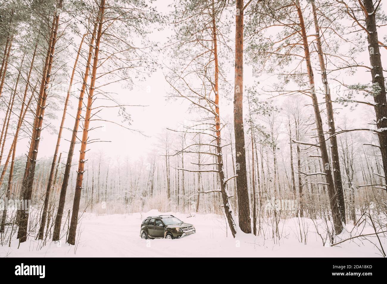 Renault Duster Or Dacia Duster Suv Parked In Snowdrift. Winter Snowy ...