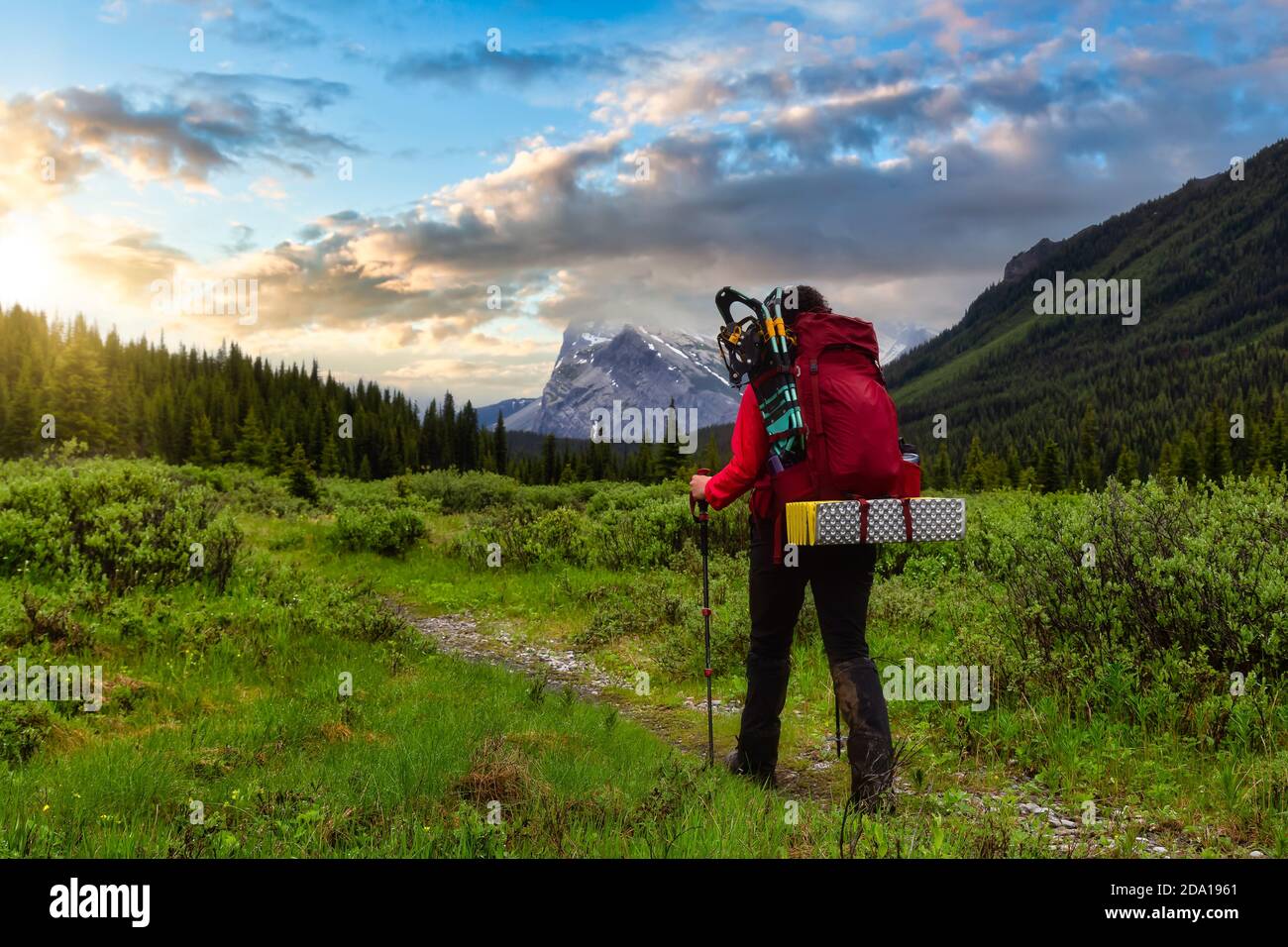 Female Backpacker Hiking in Canadian Rockies Stock Photo - Alamy