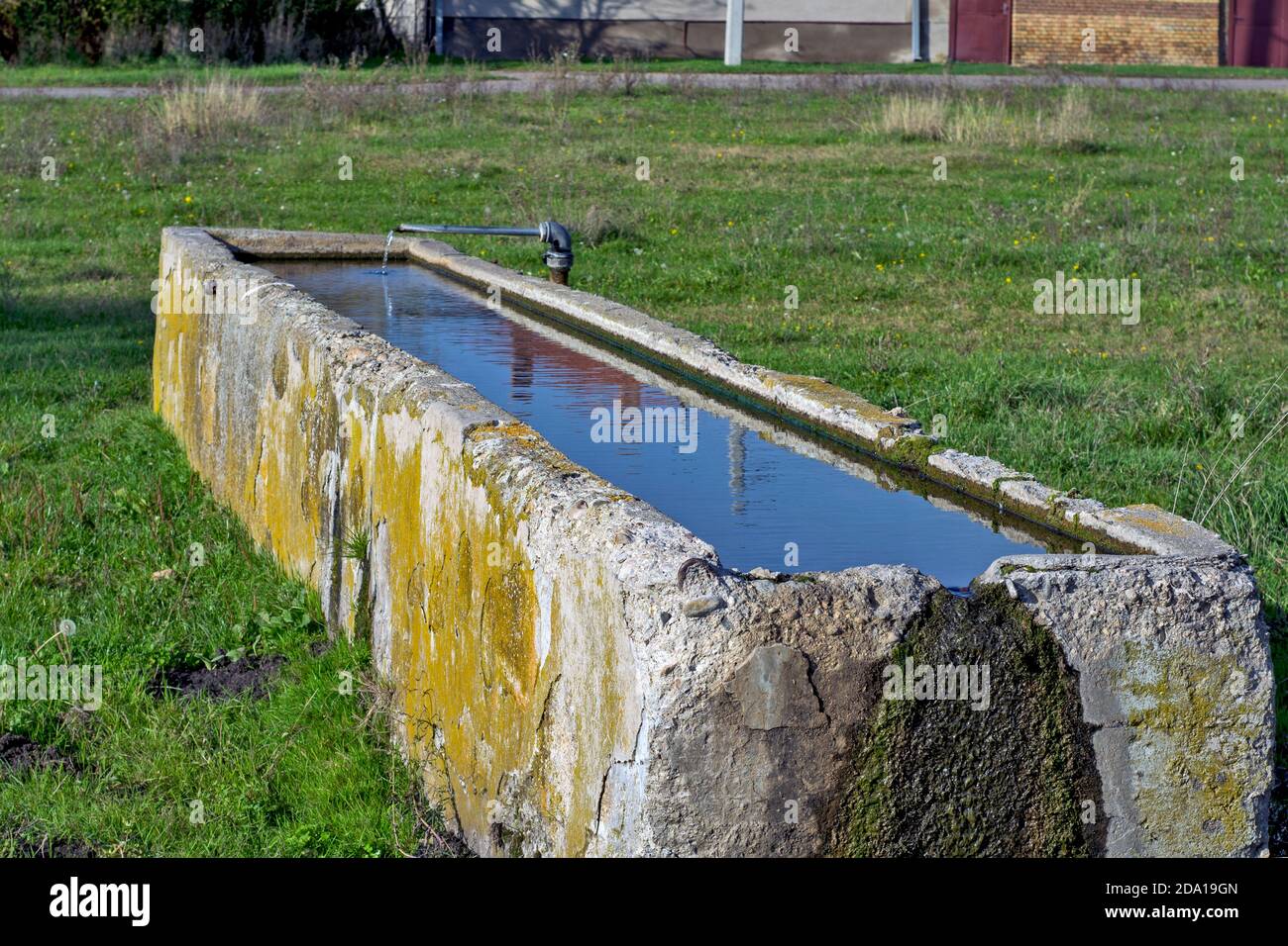 Artesian fountain in Banat on a meadow. There is also a watering place ...
