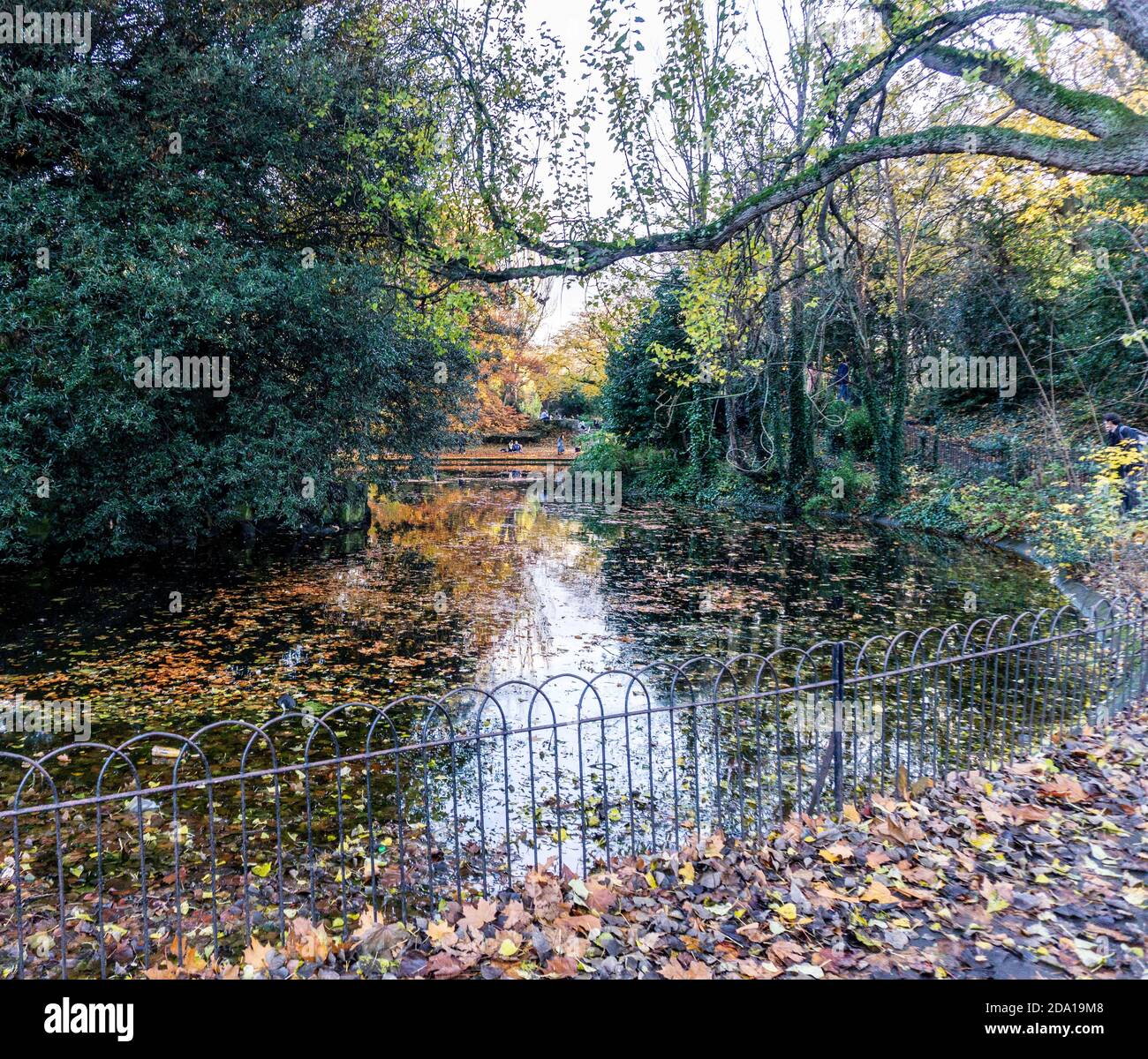 Autumn trees ireland hi-res stock photography and images - Alamy