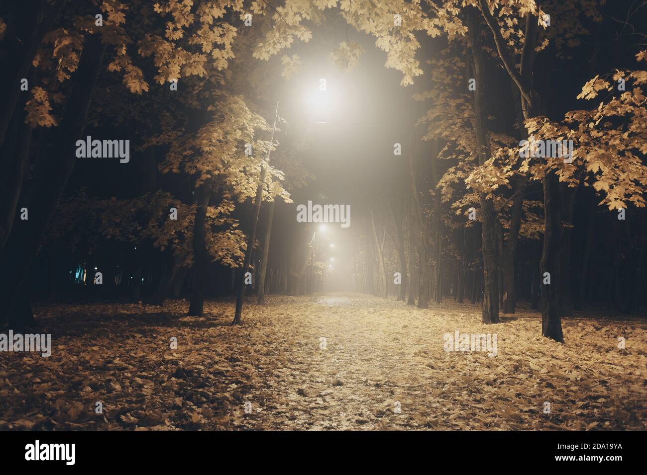 Fog city streetlight hi-res stock photography and images - Alamy