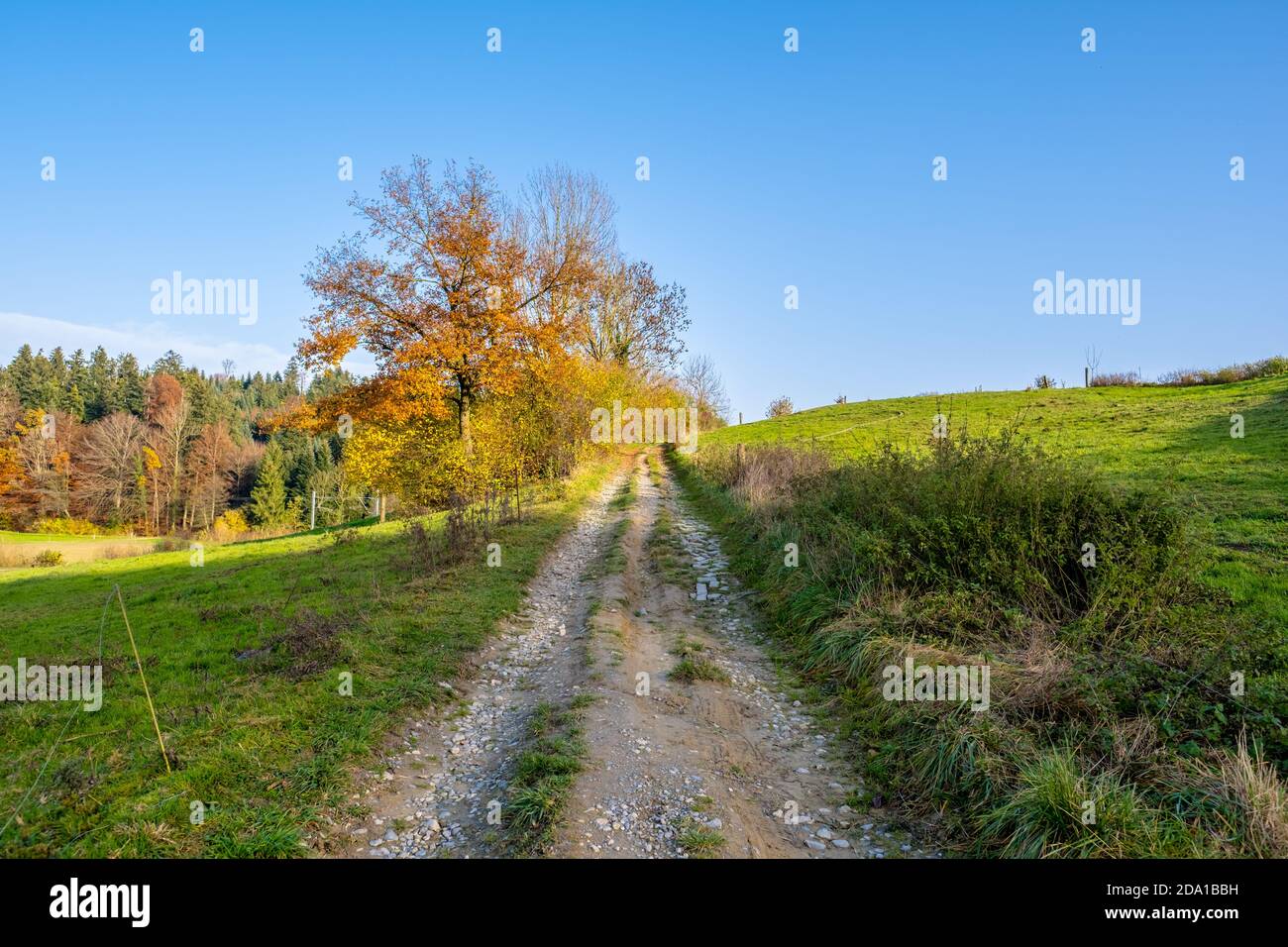 Natural road hi-res stock photography and images - Alamy