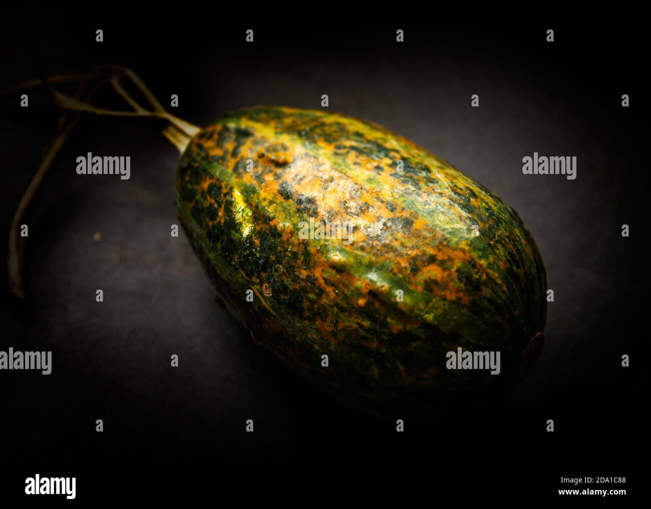 Season gourd hi-res stock photography and images - Alamy