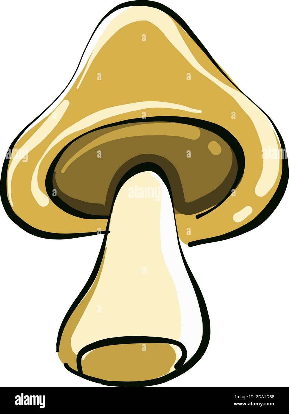 Yellow chanterelle mushroom on Stock Vector Images - Alamy