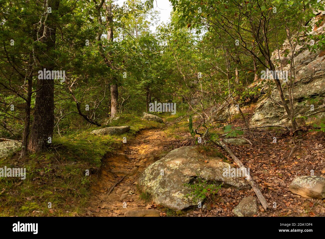 Hiking trail through the Garden of the Gods Wilderness. Shawnee ...