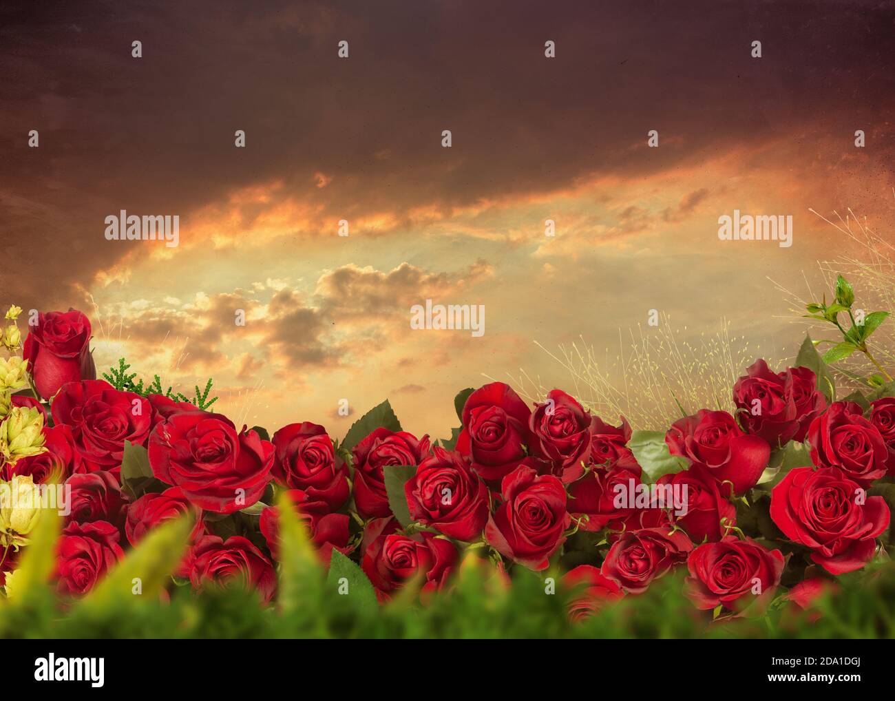 various romantic background images Stock Photo - Alamy