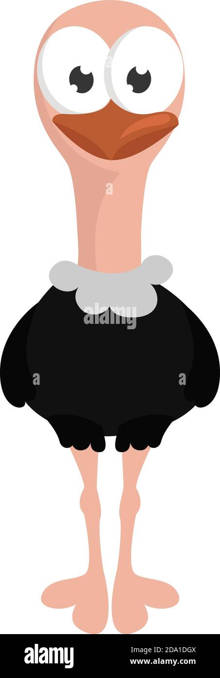 Baby ostrich,illustration,vector on white background Stock Vector Image ...