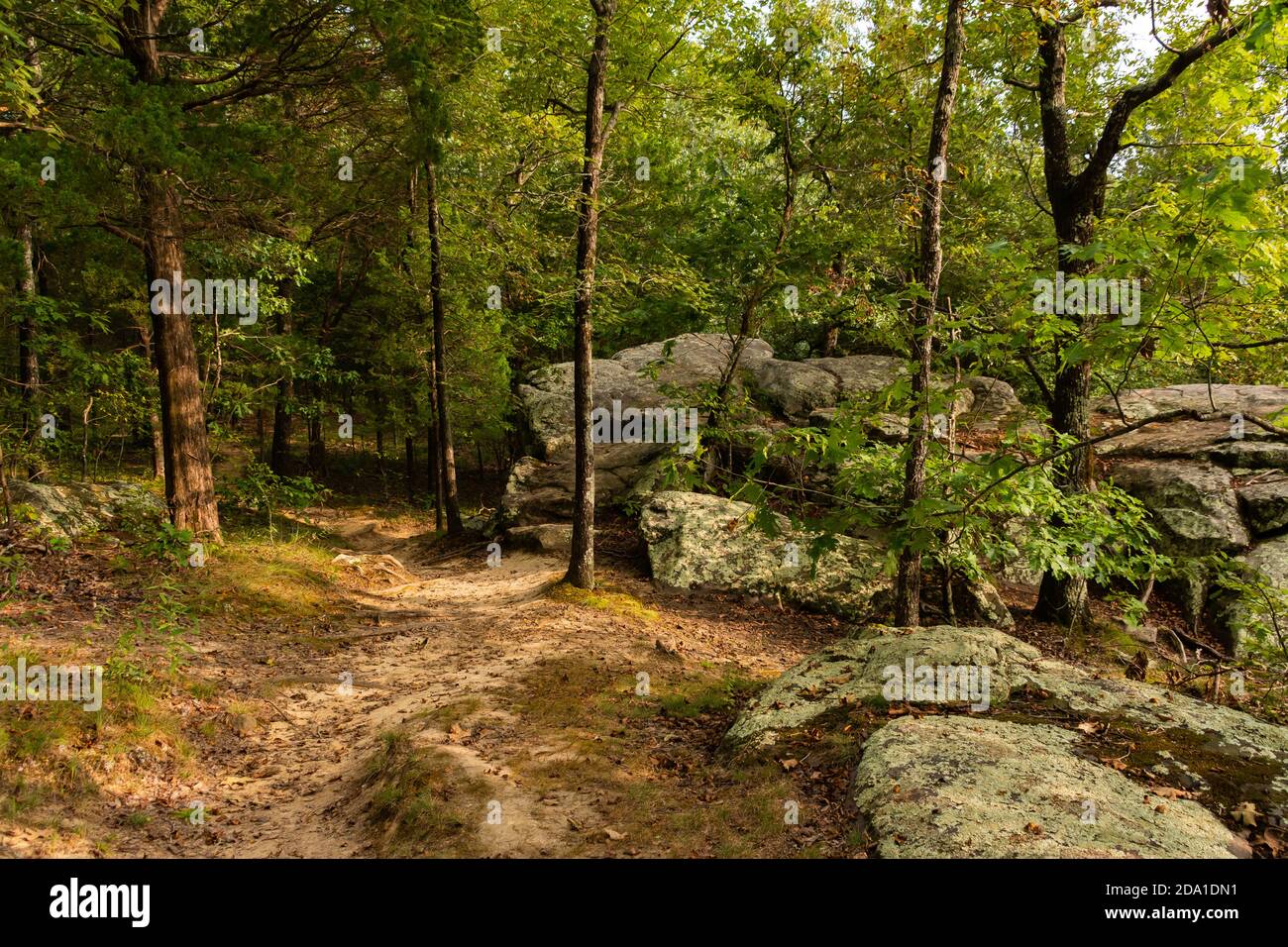 Hiking trail through the Garden of the Gods Wilderness. Shawnee ...