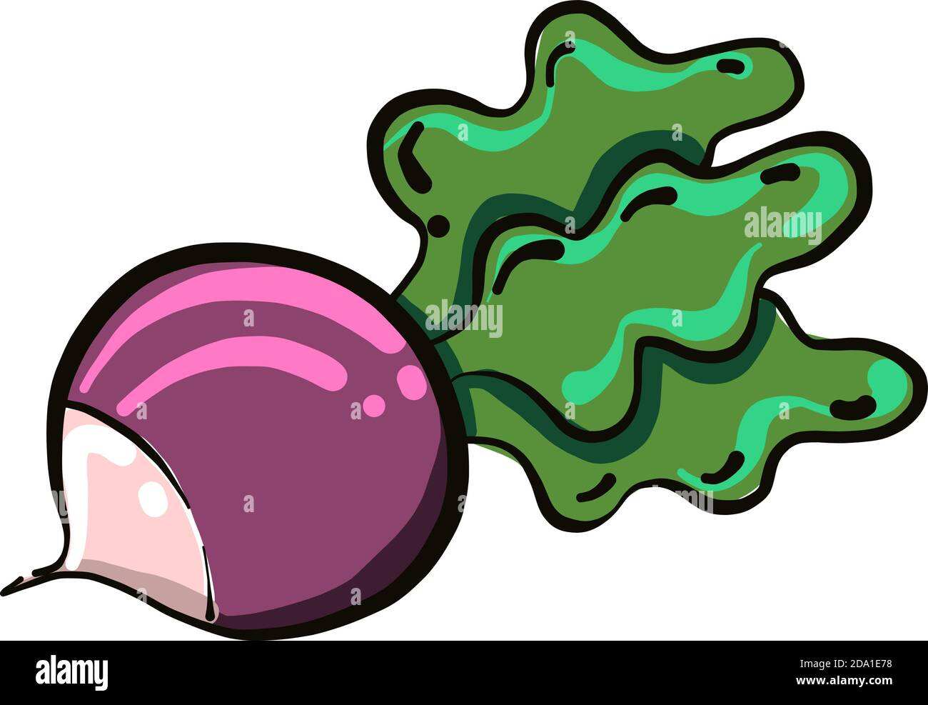 Natural closeup on purple Stock Vector Images - Alamy