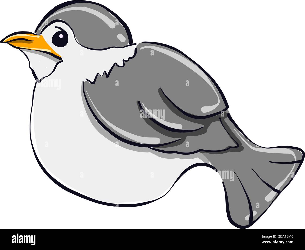 Grey bird,illustration,vector on white background Stock Vector Image ...