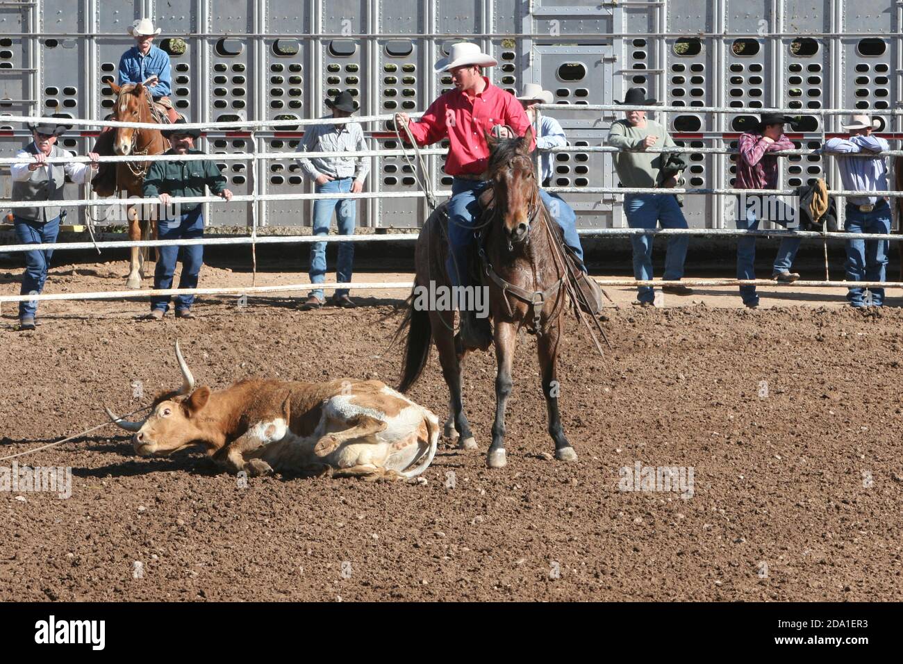 Rodeo event at the Arizona National Livestock Show, Phoenix, Arizona ...