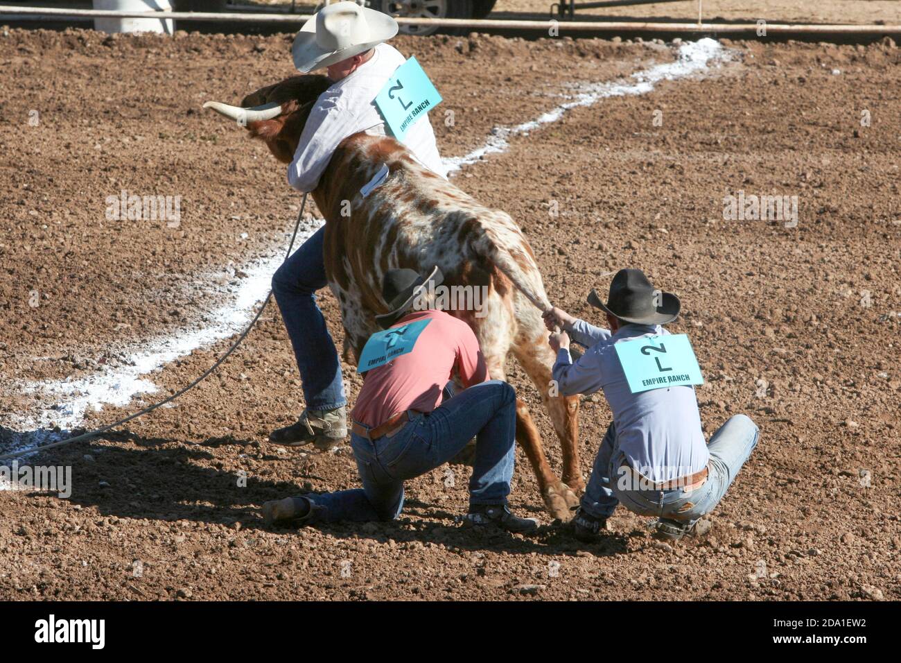 Rodeo event at the Arizona National Livestock Show, Phoenix, Arizona ...