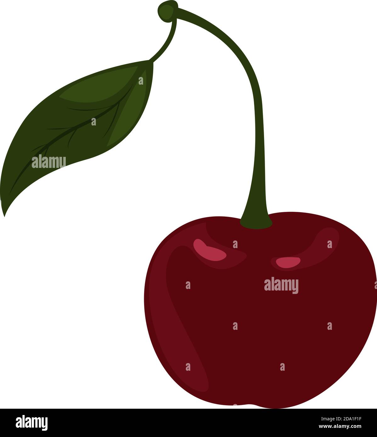 Dark red cherry,illustration,vector on white background Stock Vector ...