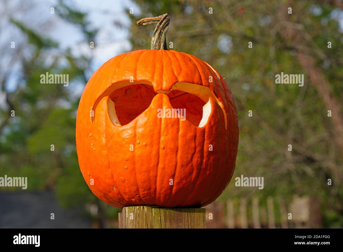 Aviator glasses hi-res stock photography and images - Alamy