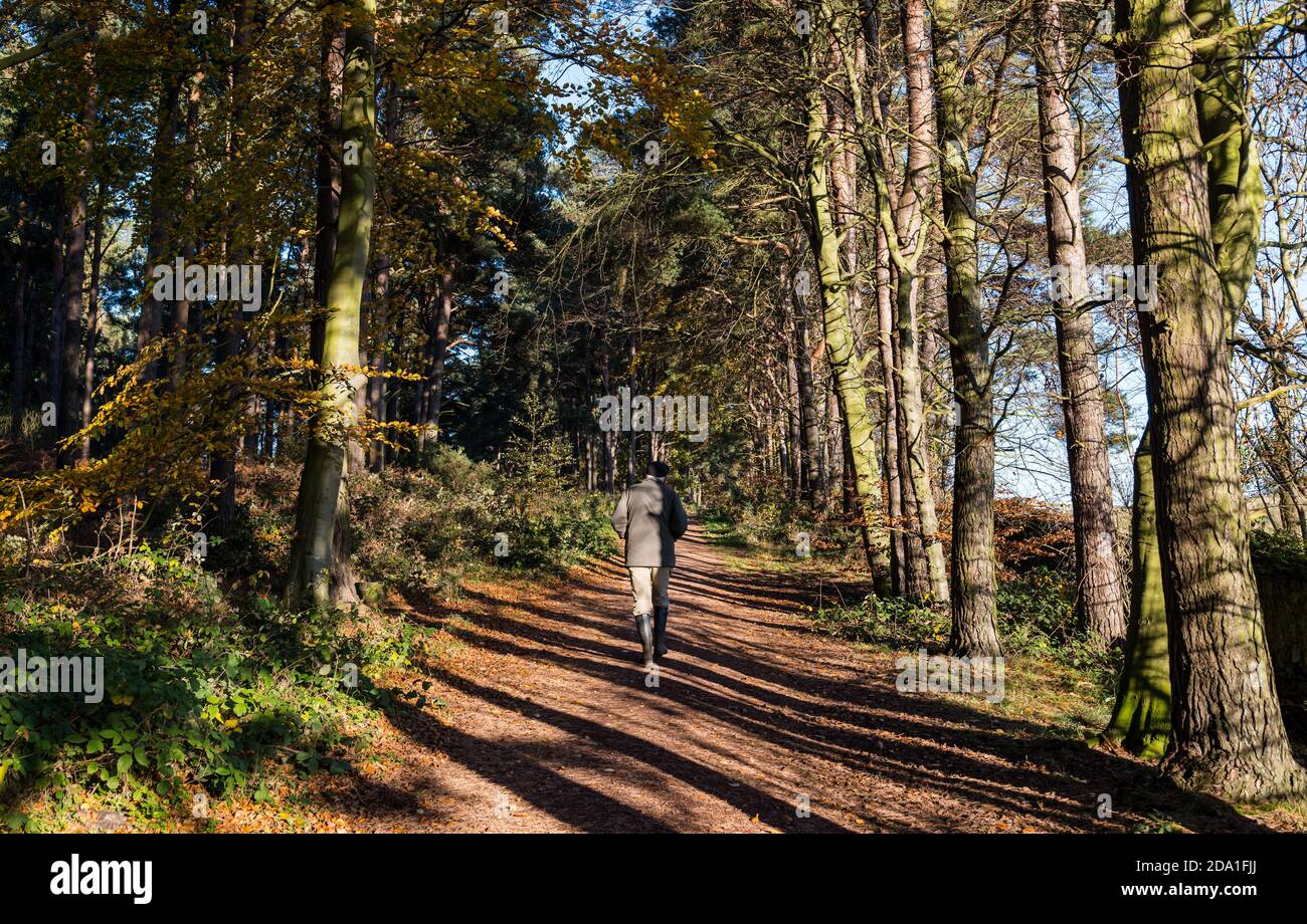 Senior man wearing Wellingtons and flat cap walking on footpath through ...