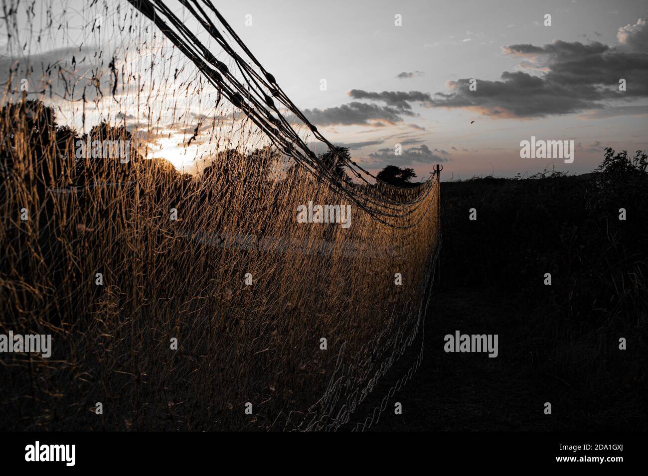 Drying fishing nets on denmark shores in sunset Stock Photo - Alamy