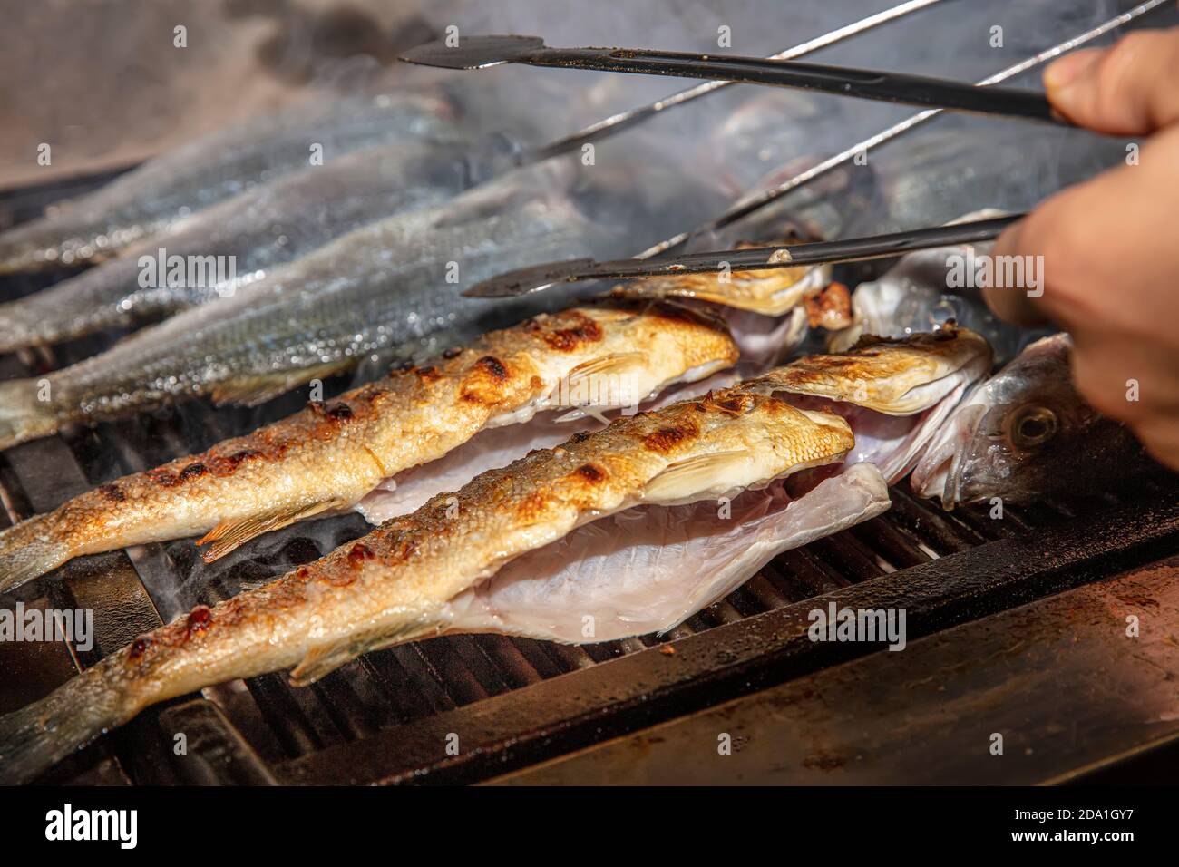 Grilled sea bass fish closeup. In process. European sea-bass, chef is ...