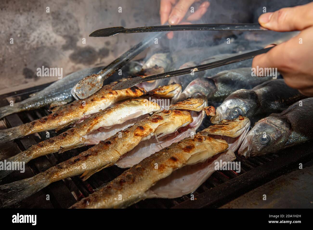 Grilled sea bass fish closeup. In process. European sea-bass, chef is ...