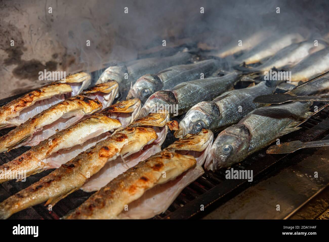 Grilled sea bass fish closeup. In process. European sea-bass, chef is ...