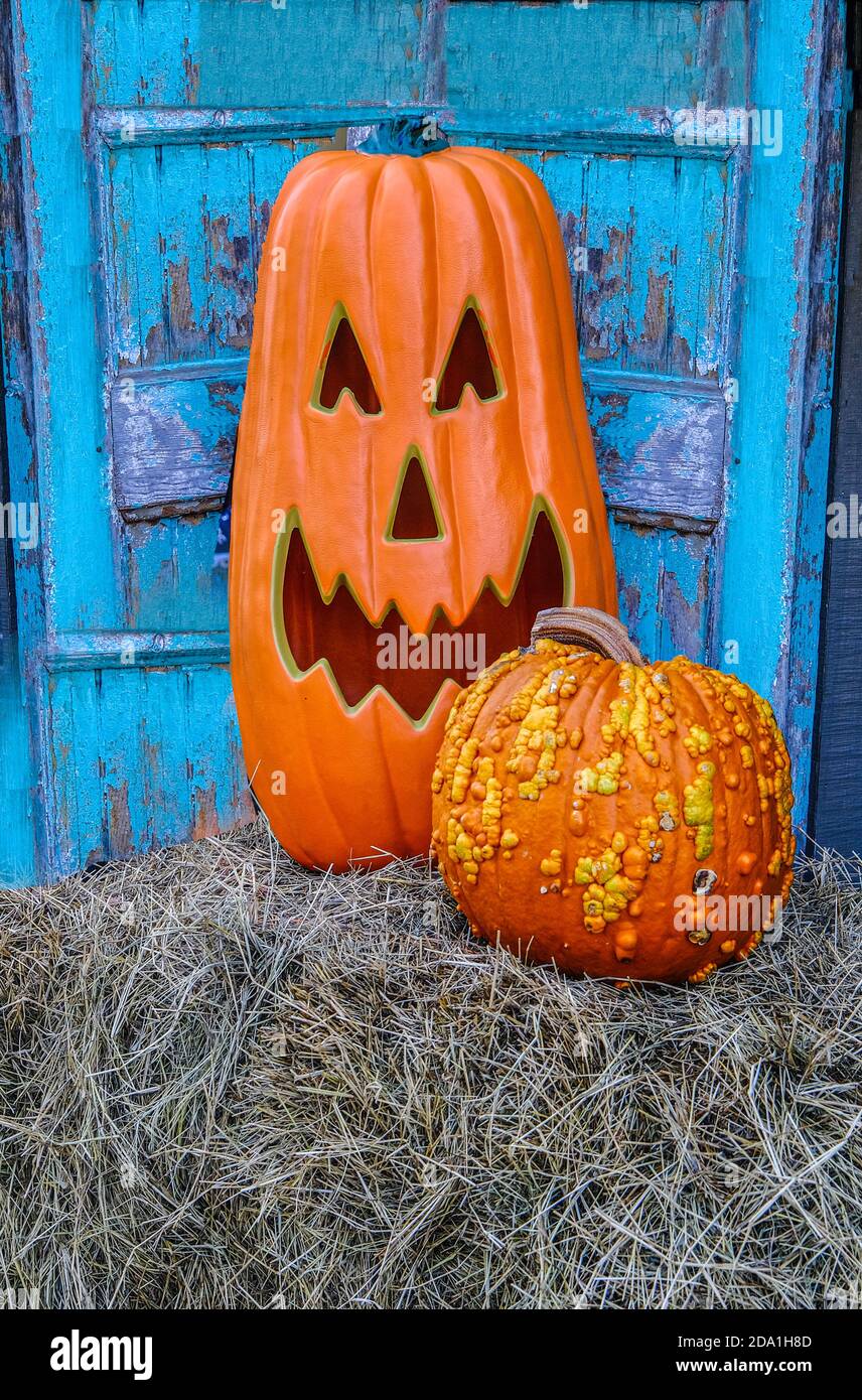 Pumpkin and Jack-o-Lantern Stock Photo - Alamy