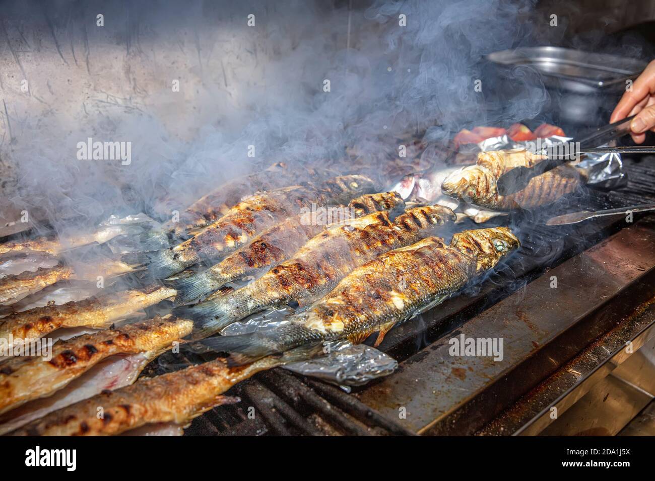 Grilled sea bass fish closeup. In process. European sea-bass, chef is ...