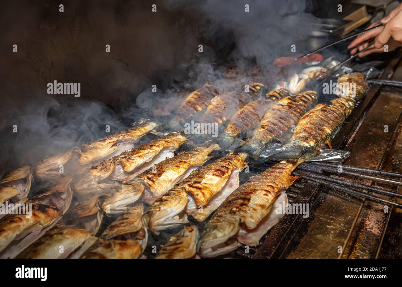 Grilled sea bass fish closeup. In process. European sea-bass, chef is ...