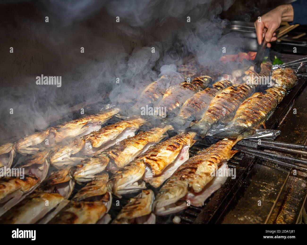 Grilled sea bass fish closeup. In process. European sea-bass, chef is ...