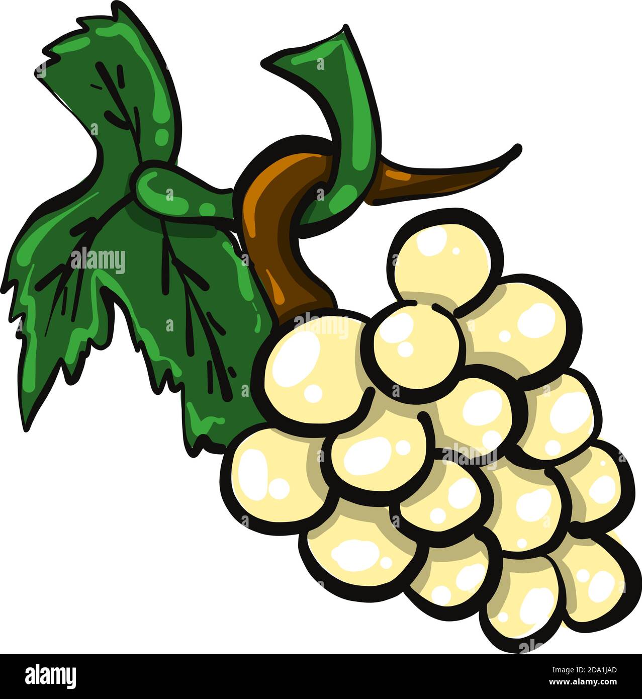 White grape harvest Stock Vector Images - Alamy