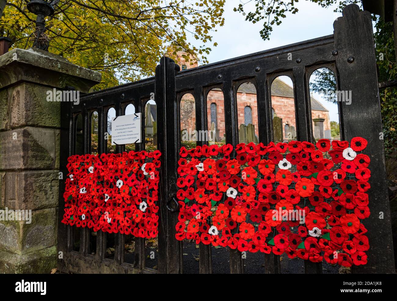 Crocheted poppies on gate for Scottish Poppy Appeal Remembrance Day ...