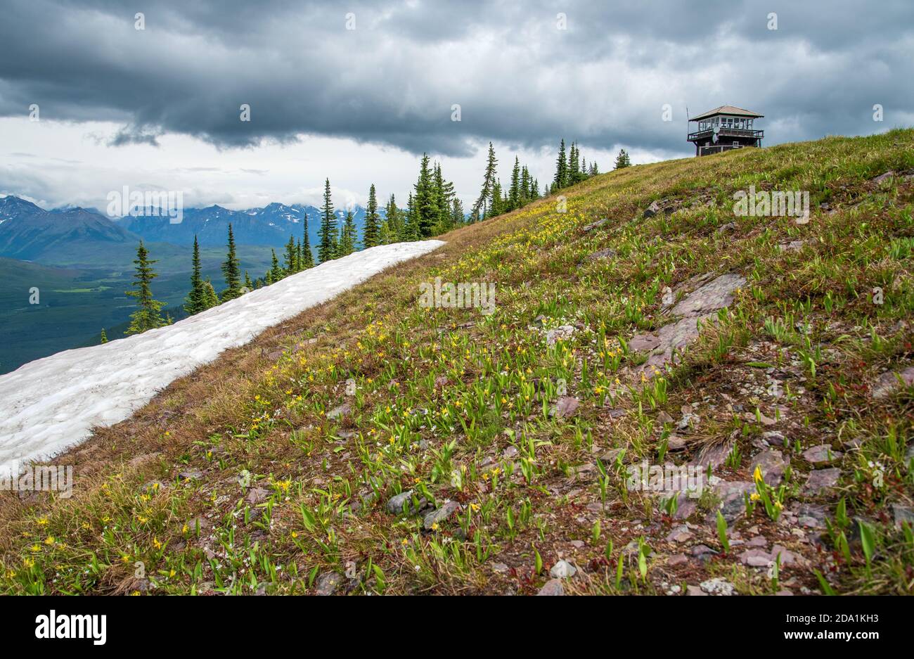 Huckleberry Mountain in Glacier National Park Stock Photo - Alamy