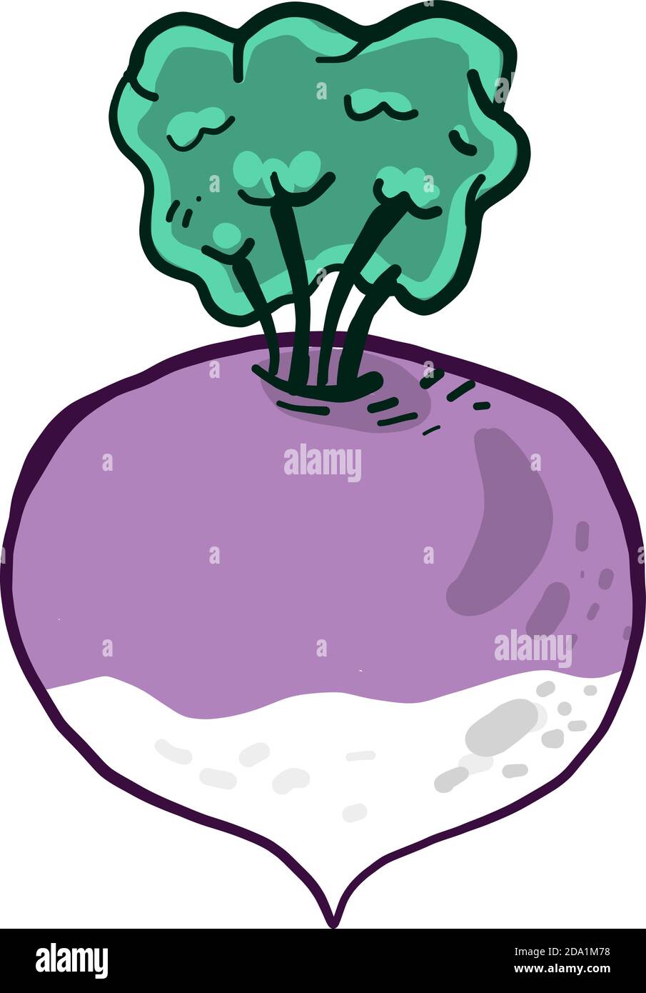 Brassica vector vectors Cut Out Stock Images & Pictures - Alamy