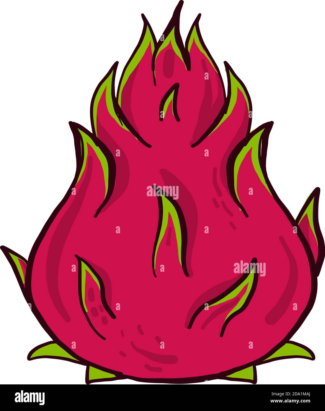Red pitaya , illustration, vector on white background Stock Vector ...