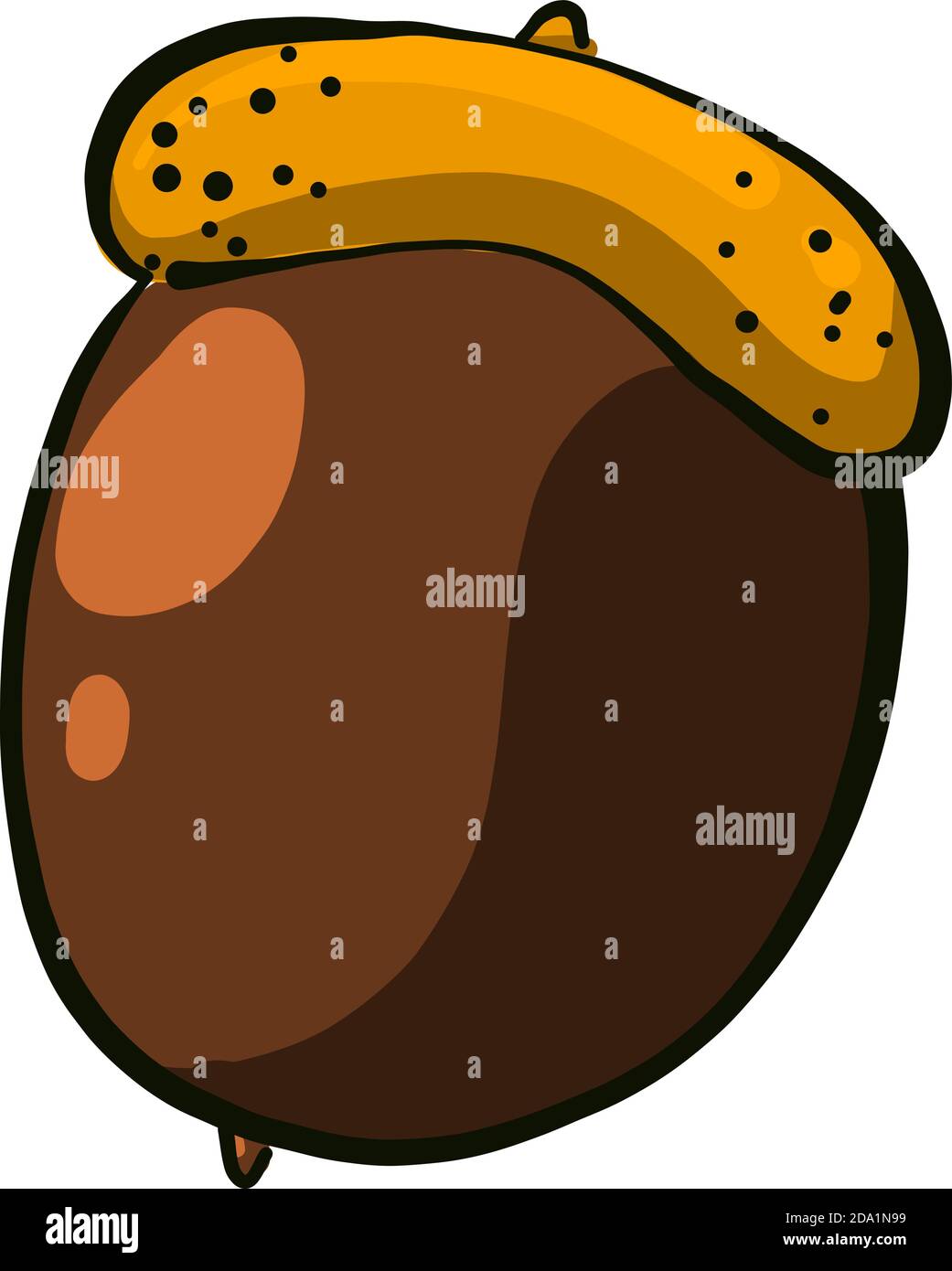 Fresh peanut on white Stock Vector Images - Alamy