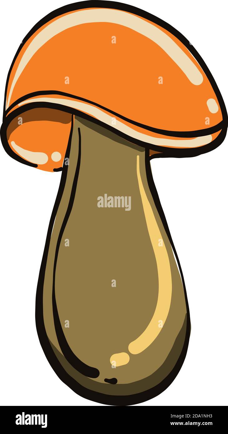 Orange cap boletus mushroom Stock Vector Images - Alamy