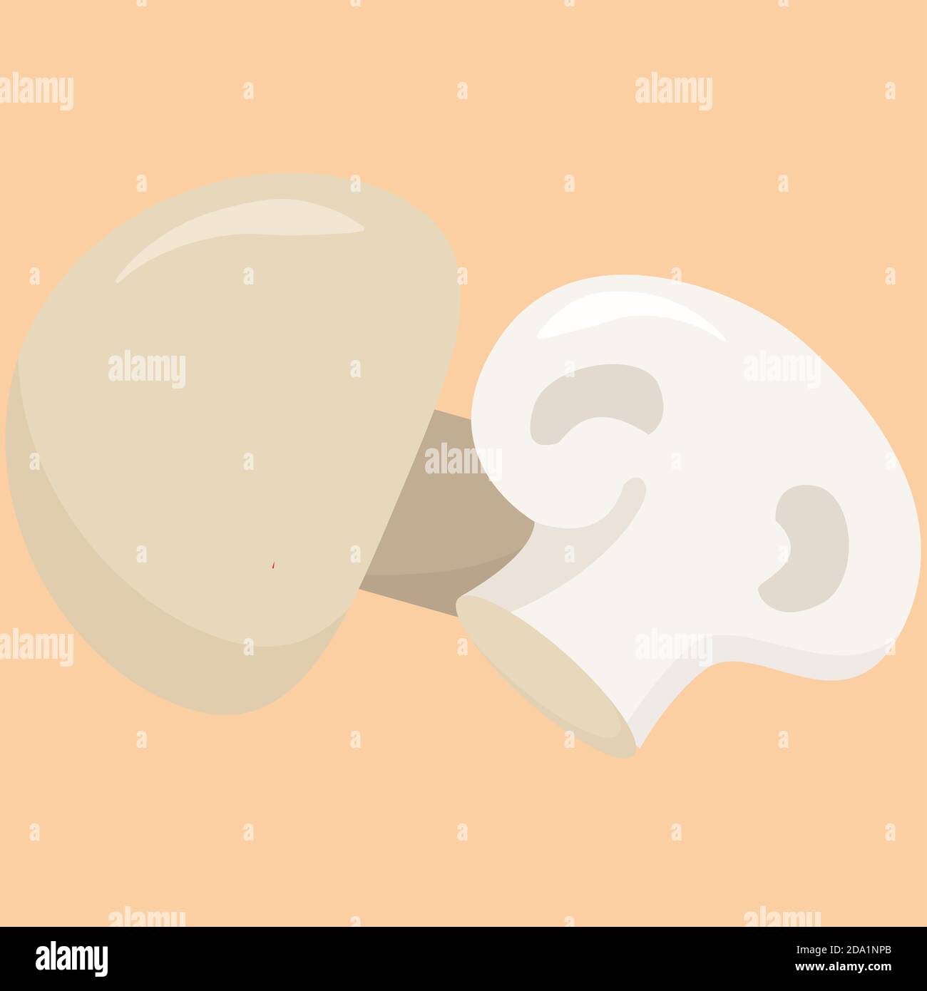 Two mushrooms ,illustration,vector on white background Stock Vector ...
