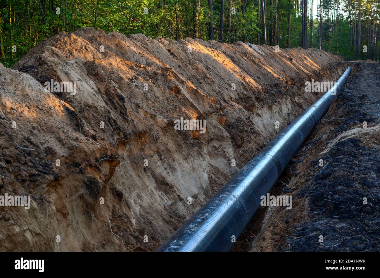 Natural gas pipeline construction work. A dug trench in the ground for ...