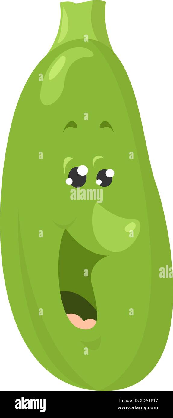 Green squash, illustration, vector on white background Stock Vector ...