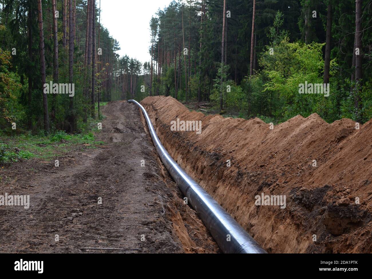 onstructing pipelines that transport oil, natural gas, petroleum ...