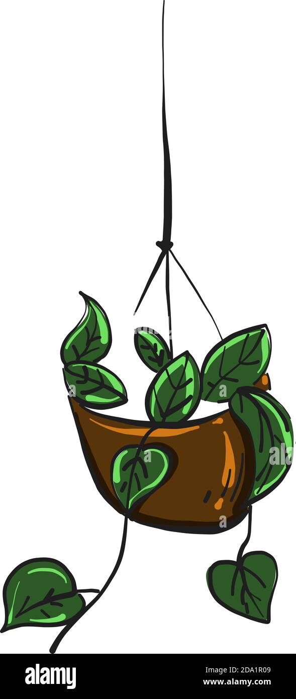 Hanging plant , illustration, vector on white background Stock Vector ...