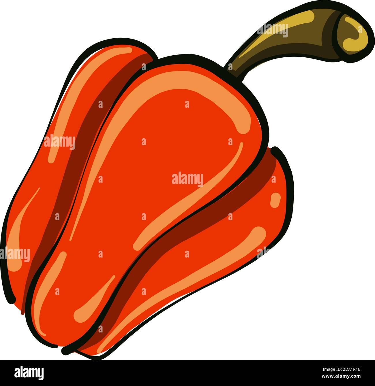 Red fat pepper , illustration, vector on white background Stock Vector ...