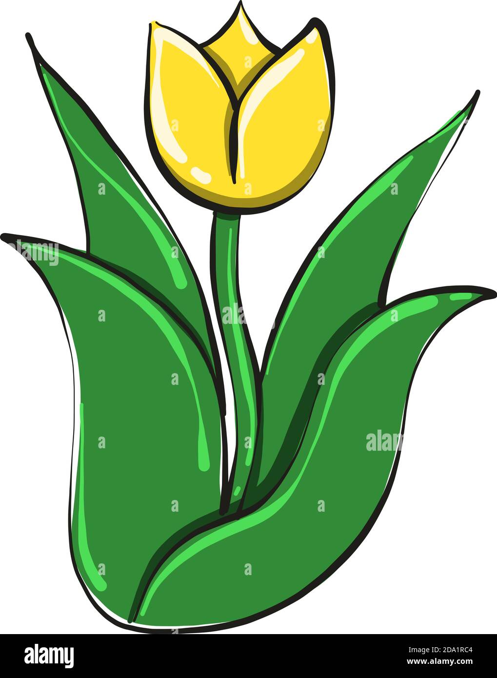 Vector flower seamless on Cut Out Stock Images & Pictures - Alamy