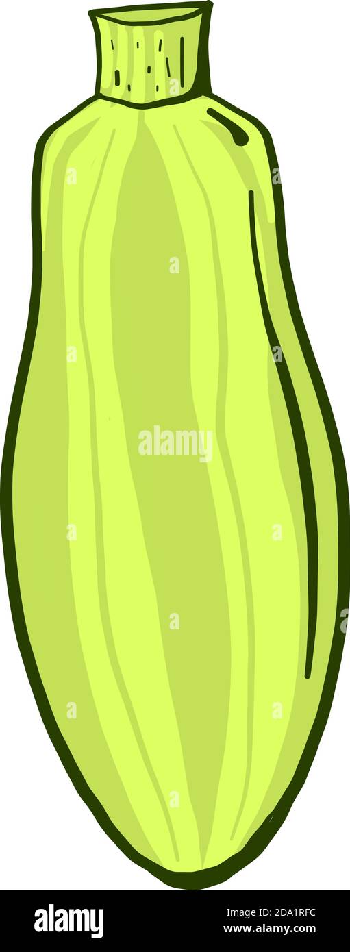 Zucchini plant on farm Stock Vector Images - Alamy
