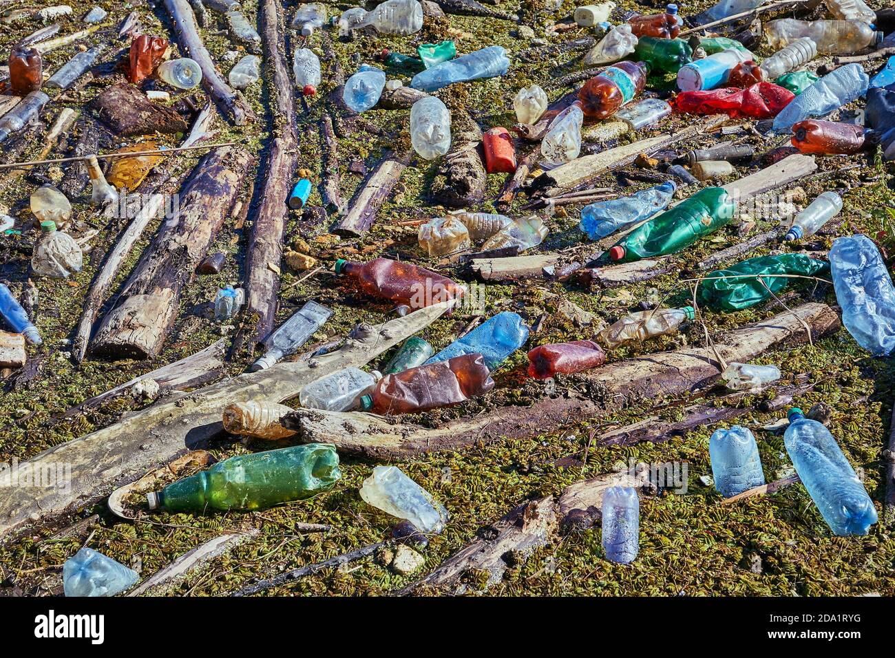 Plastic bottles in water Stock Photo - Alamy