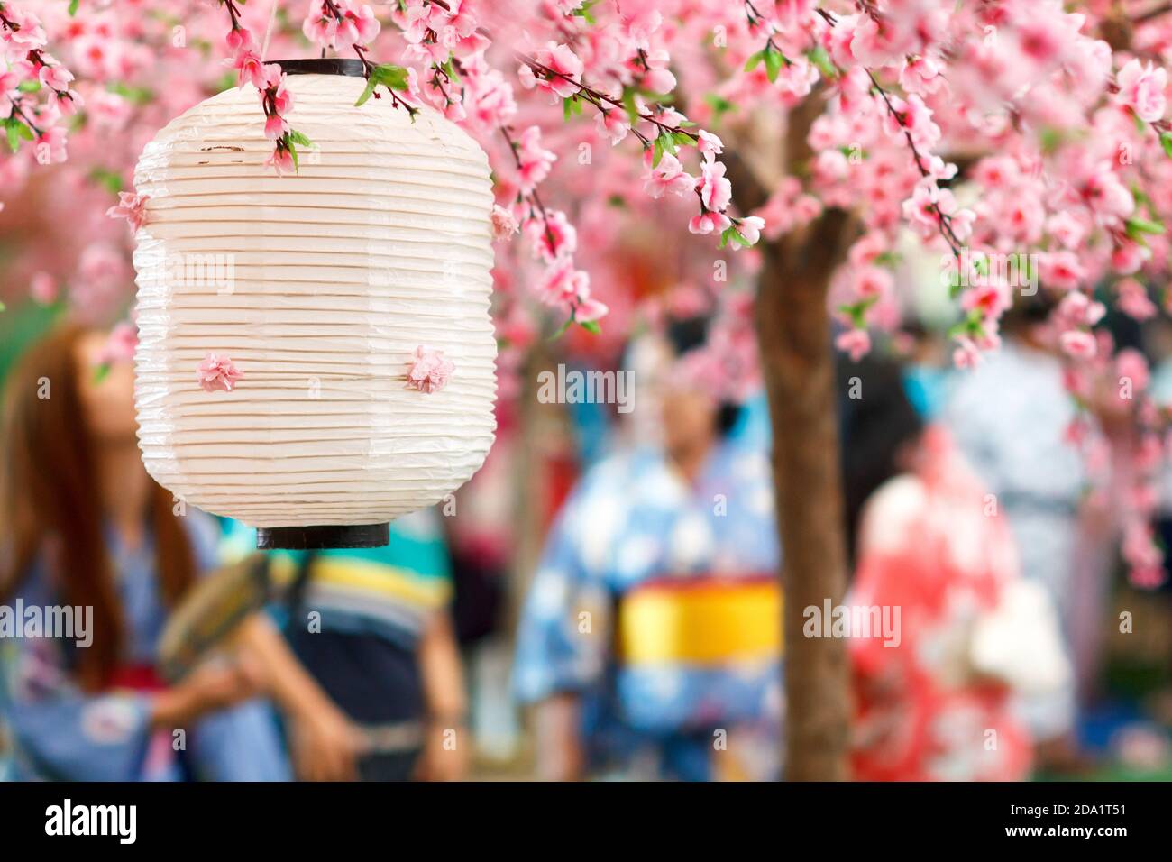 japanese lantern under sakura tree Stock Photo - Alamy