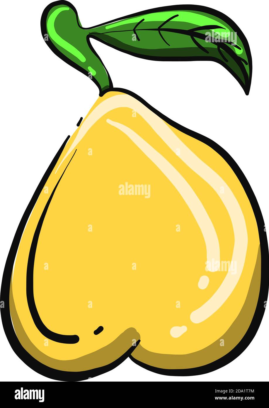 Yellow pear, illustration, vector on white background Stock Vector ...