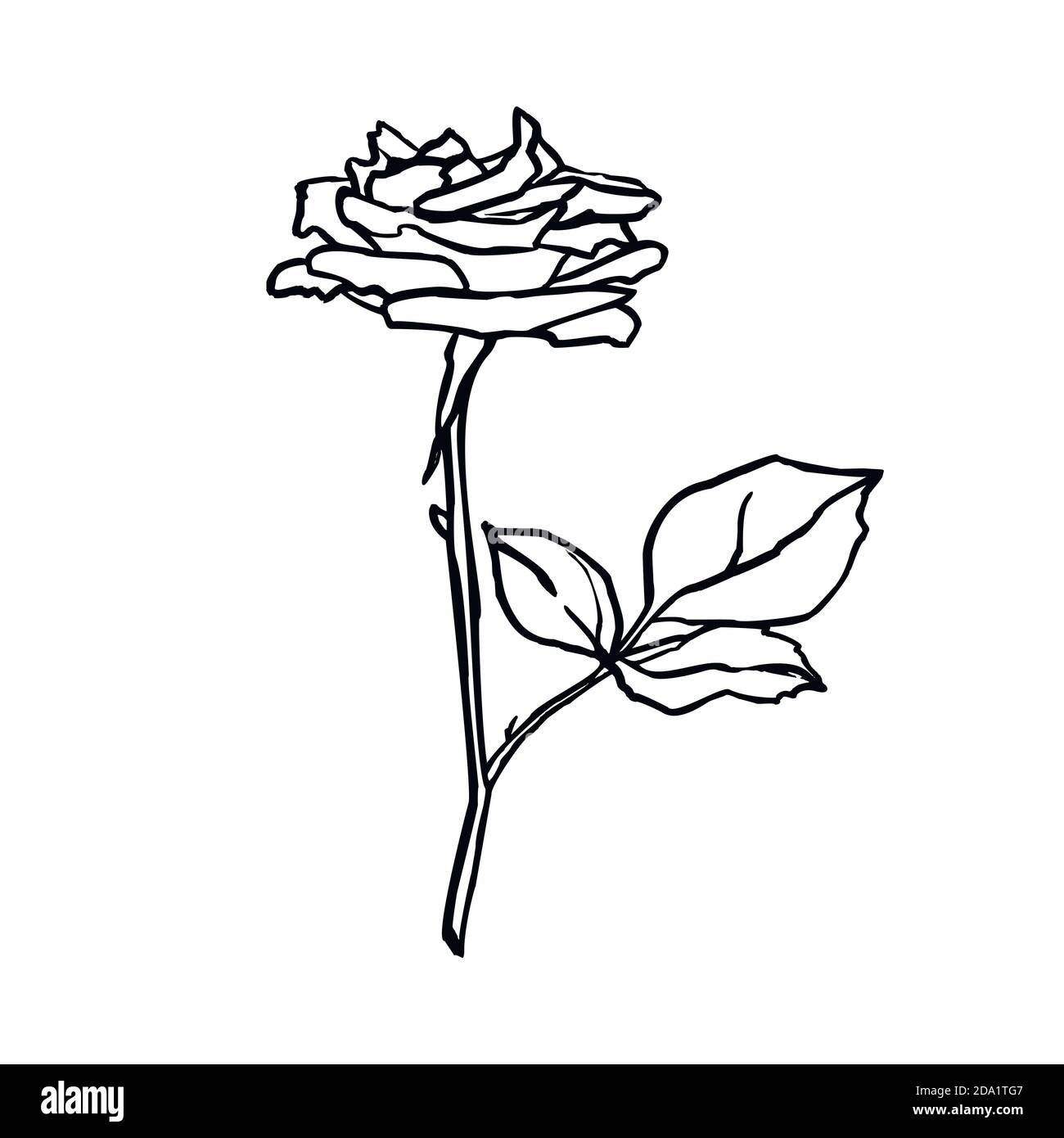 Line art hand in Black and White Stock Photos & Images - Alamy