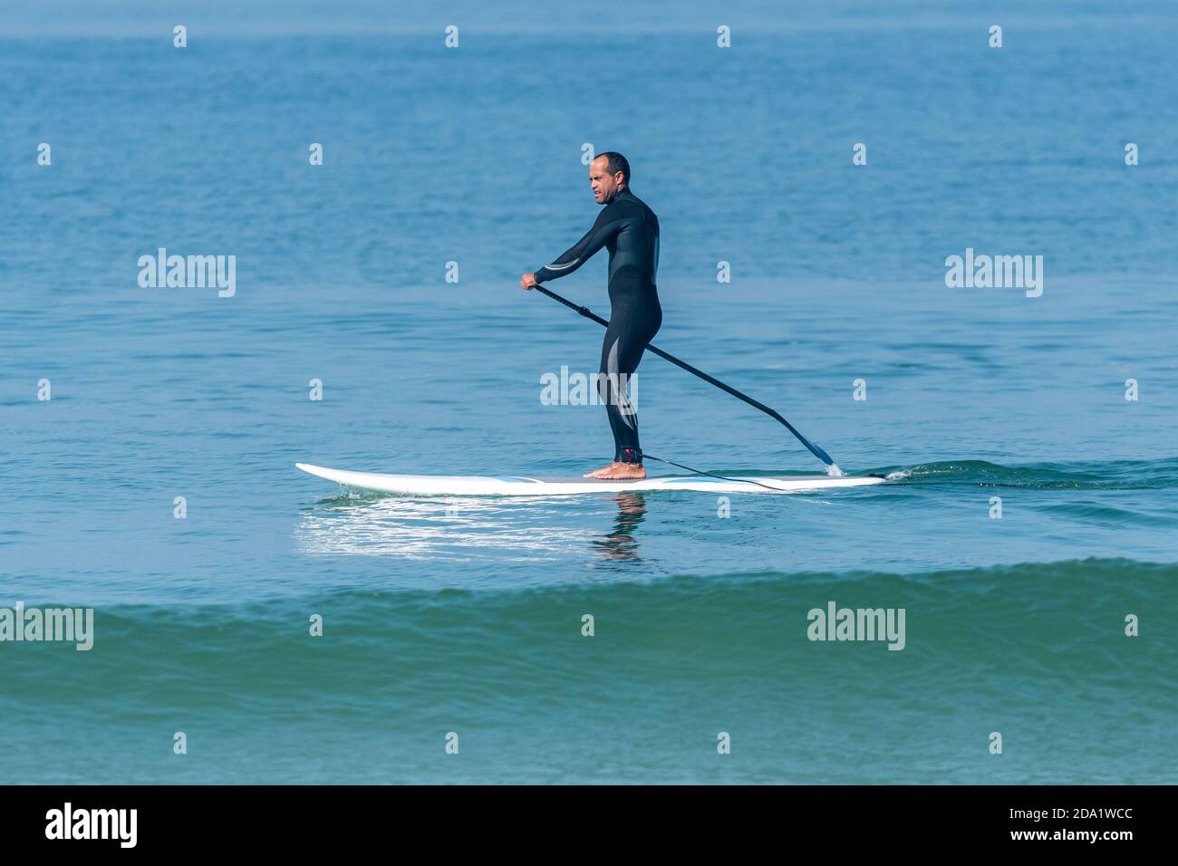 Stand up paddle surfer on the atlantic ocean Stock Photo - Alamy